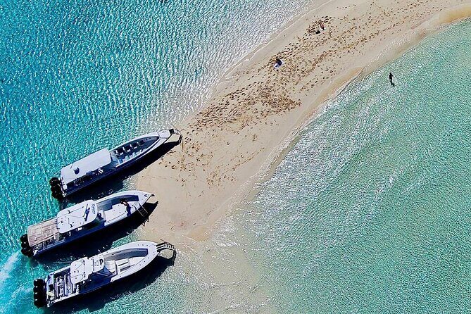 Full Day Exuma Swimming Pigs - Group Boat Tour From Nassau - What the Reviews Tell Us