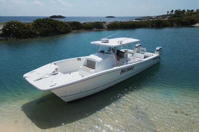 Full-Day Fishing Charter in East Coast, Puerto Rico - The Practicalities: Cost, Duration, and Group Size