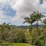 Full Day Garden Delight Private Tour in Barbados - Who Will Love This Tour?