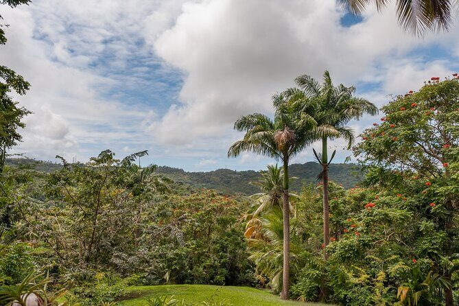 Full Day Garden Delight Private Tour in Barbados - Who Will Love This Tour?