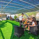 Full Day Ha Long Bay Trip with Premium Cruise - Exploring the Highlights of the Itinerary