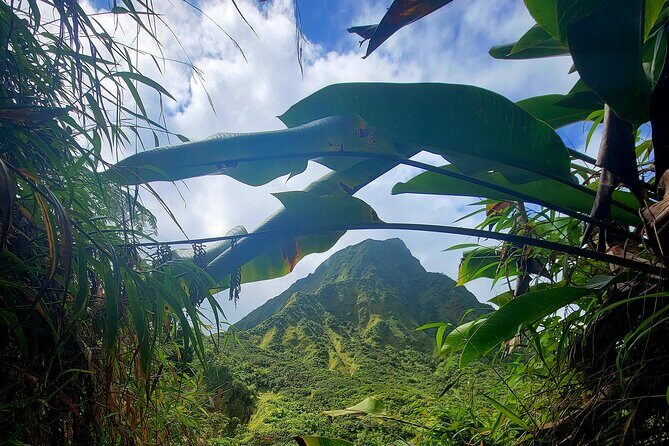 Full Day Hike Tour from Dominica - Why This Tour Offers Real Value