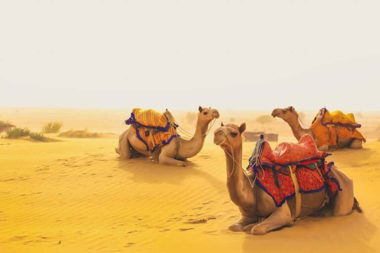 Full-Day Jaisalmer City Tour - Fort, Havelis & Desert Charm - Practical Details and Value