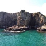 Full-Day Jeju Island WEST Tour (entrance fee included) - What Travelers Say