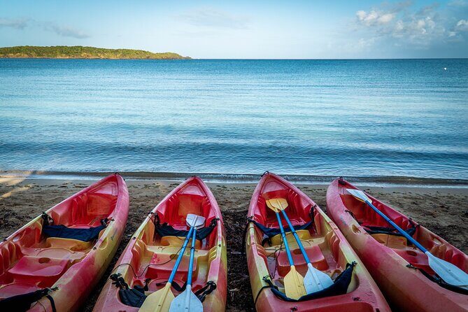 Full-Day Kayak Adventure  Explore Fajardos Crystal-Clear Waters - The Ideal Traveler for This Experience