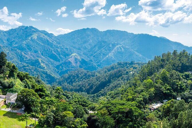 Full-Day Kingston and Blue Mountains Private Guided Tour - Logistics, Comfort, and Value