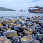 Full-Day Koh Lipe 7 Islands Snorkeling Experience with Lunch - What Makes This Tour Stand Out?