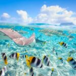 Full Day Lagoon Group Tour in Bora Bora with Lunch - Who This Tour Is Best For