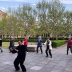 Full-Day Old Shanghai City Lifestyle and Culture Private Tour with Lunch - What You’ll Love About the Itinerary
