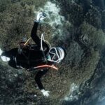 Full-Day Open Trip Diving in Komodo for Certified Divers - Why Choose This Tour?