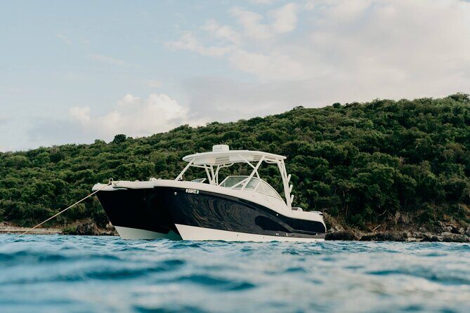 Full-Day Private Boat Charter from St. John or St. Thomas - What to Expect: An In-Depth Look at the Itinerary