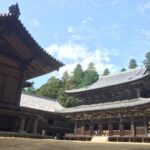 Full-Day Private Guided Tour to Himeji Castle - Authentic Experiences and Traveler Feedback