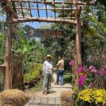 Full Day Private Journey to Northern Phu Quoc - Practical Tips for Your Day