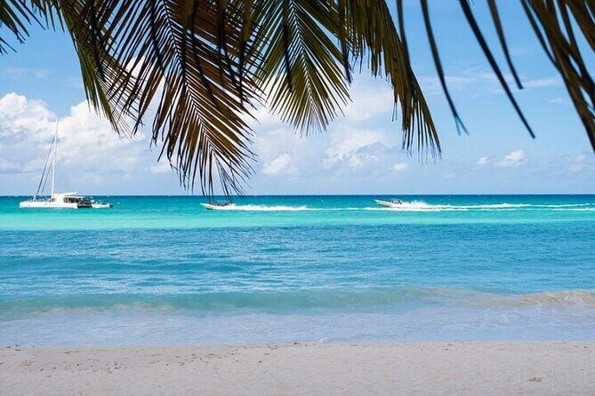 Full-Day Private punta cana saona Tour by Speedboat - Why This Tour Is a Good Fit