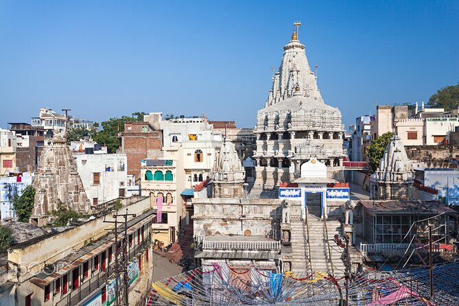 Full-Day Private Sightseeing Tour of Udaipur - Practical Details and Value