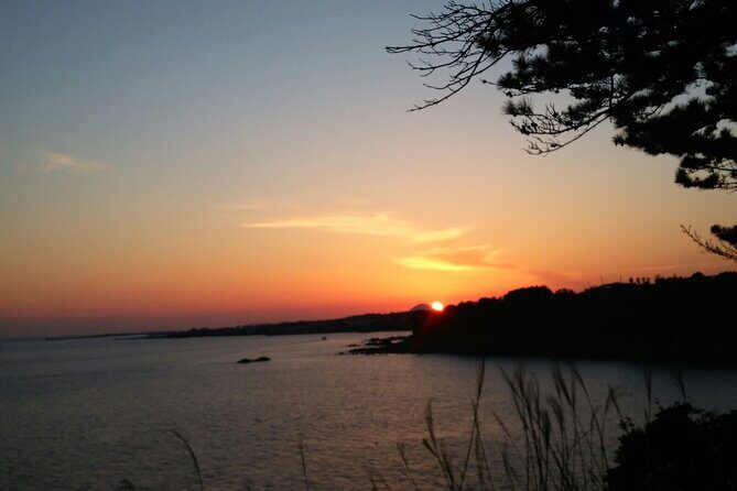 Full-Day Private South and West of Jeju Island Taxi Tour - The Sum Up: Who Is This Tour Best For?