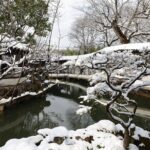 Full-Day Private Suzhou and Tongli Tour by Bullet Train - Authenticity and Value