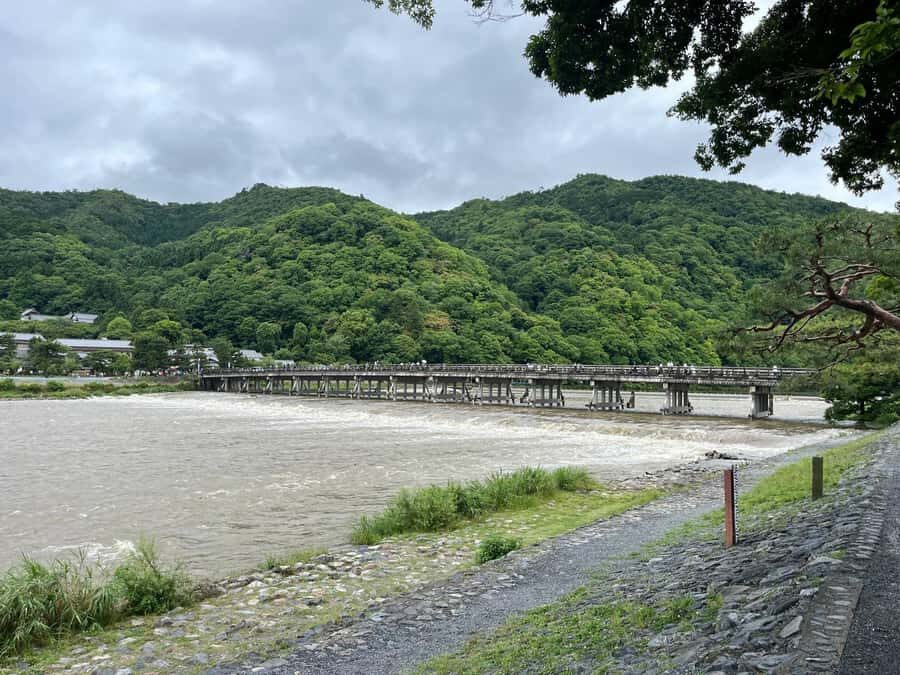 Full Day Private Tour in Kyoto with Private Transportation - What Makes This Tour Stand Out?