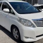 Full Day Private Tour Mt. Fuji, Hakone and Lake Ashi - Return and Free Time