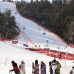 Full Day Private Tour Nami Island & Gangchon Elysian Ski - Who Is This Tour Perfect For?