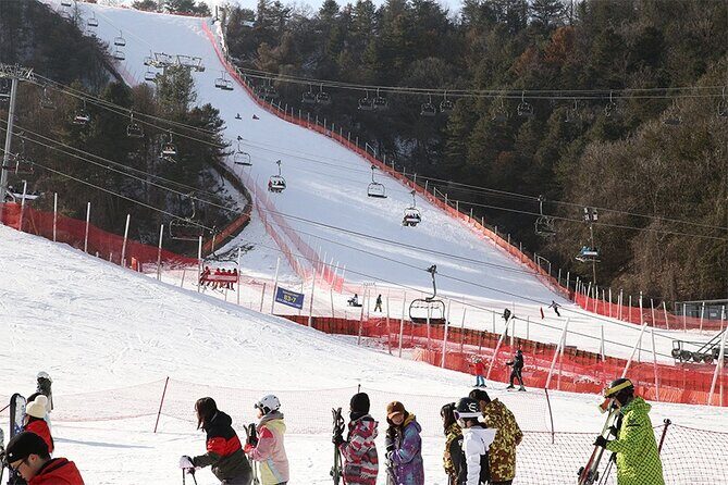 Full Day Private Tour Nami Island & Gangchon Elysian Ski - Who Is This Tour Perfect For?