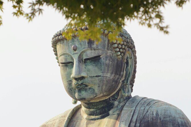 Full Day Private Tour to Kamakura by Luxury Vehicle - Who Should Consider This Tour?