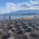 Full Day Private Tour to Mt Fuji by Luxury Vehicle - Why Travelers Love This Tour