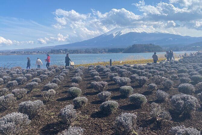 Full Day Private Tour to Mt Fuji by Luxury Vehicle - Why Travelers Love This Tour