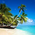 Full Day Private Tour to Saona Island - A Detailed Look at the Tour Experience