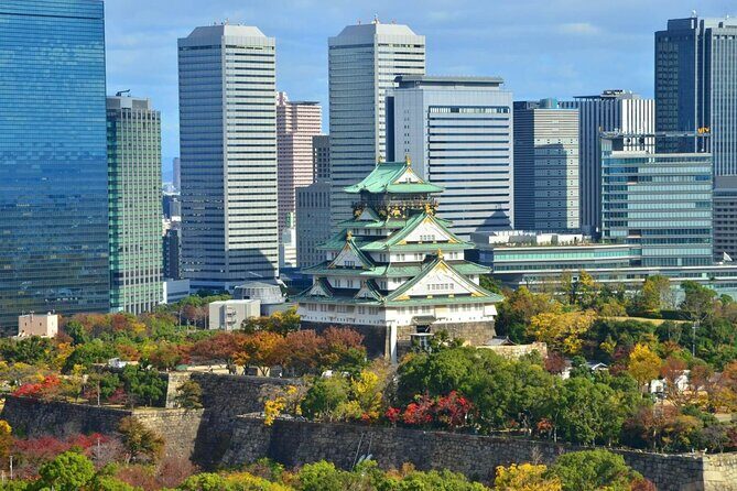 Full Day Private walking Tour in Osaka - Cultural Experiences that Enrich Your Visit