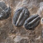 Full Day Quarry Access - Exploring the Itinerary in Detail