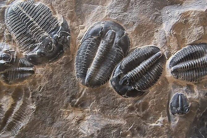 Full Day Quarry Access - Exploring the Itinerary in Detail