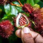 Full Day Safari Tour with Local Touch including Lunch - An In-Depth Look at the Itinerary