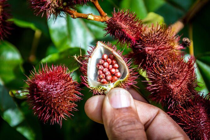 Full Day Safari Tour with Local Touch including Lunch - An In-Depth Look at the Itinerary