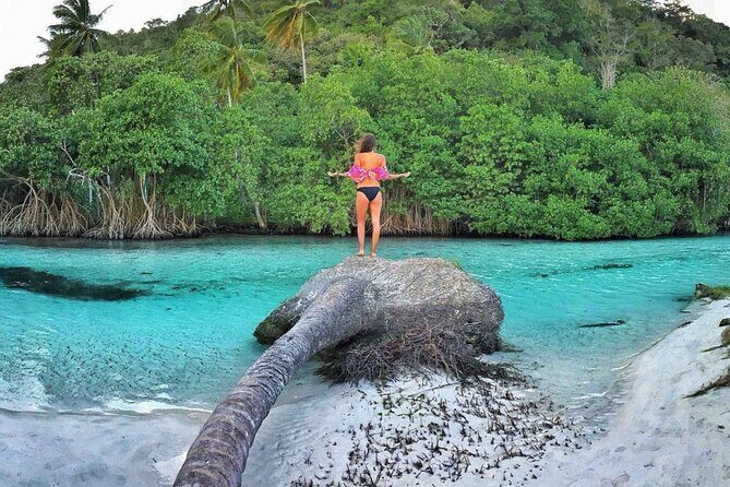 Full Day SAMANA ADVENTURE Tour - Punta Cana - Final Thoughts