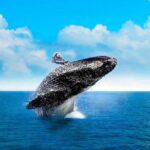 Full-Day Samana with Waterfall & Bacardi Island from Punta Cana - Practical Details and Tips