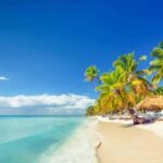 Full-Day Saona Island Excursion with Catamaran Party - Details That Matter: Why This Tour Is Worth Considering