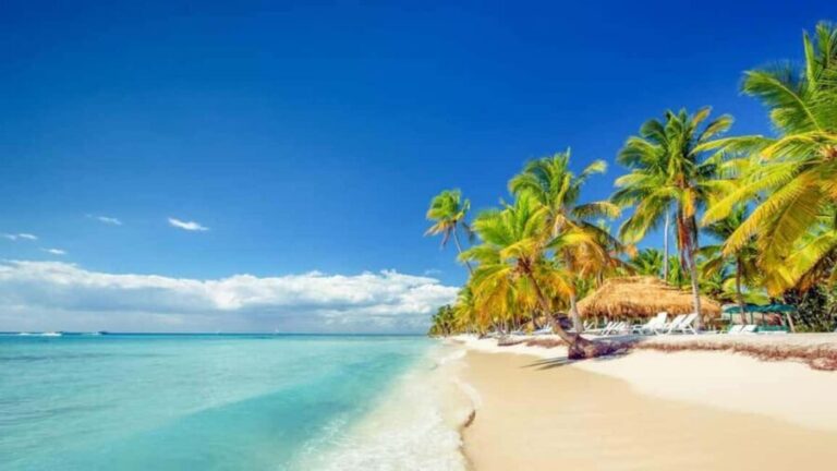 Full-Day Saona Island Excursion with Catamaran Party - Details That Matter: Why This Tour Is Worth Considering