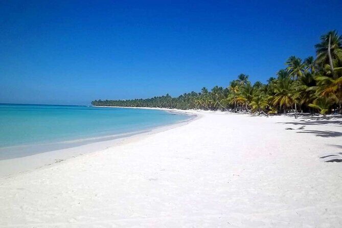 Full-Day Saona Island Tours All Inclusive - Authentic Experiences and Real Traveler Perspectives