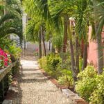 Full Day Shore Tour Charlotte Amalie from Charlotte Amalie Port - Why It’s a Good Fit