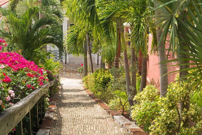 Full Day Shore Tour Charlotte Amalie from Charlotte Amalie Port - Why It’s a Good Fit