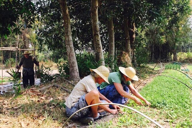 Full Day Siem Reap Farm Tour with Cooking Class and Monk Blessing - Transportation and Meeting Point