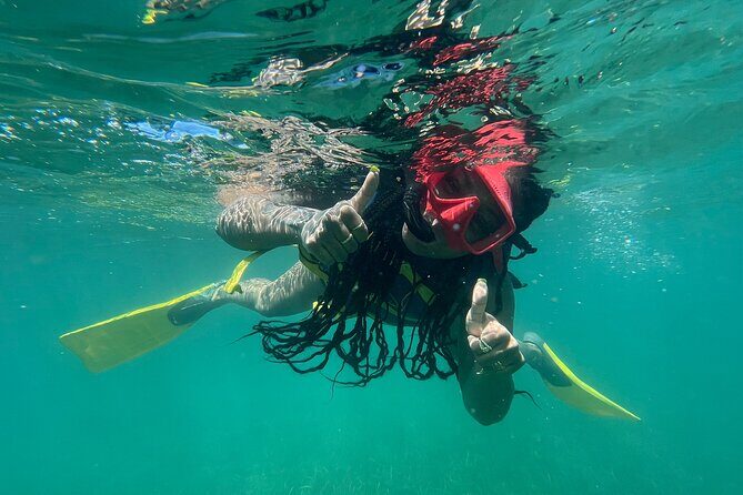 Full-Day Snorkeling Gear Rental in Puerto Rico - What You Can Expect Underwater