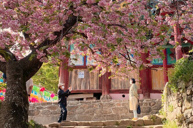 Full Day Suwon Hwaseong and Yellow Spring Flower Festival Tour - Hwaseong Fortress: A UNESCO World Heritage Site