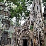Full-Day Temples of Angkor Small Group Tour - Free Hotel Pick up - What’s Included and What’s Not