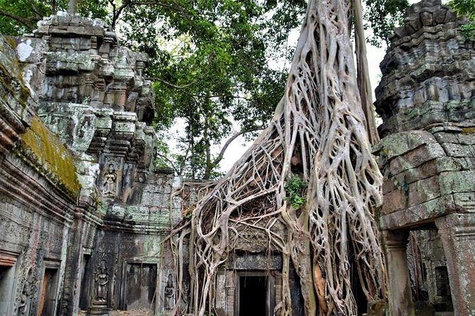 Full-Day Temples of Angkor Small Group Tour - Free Hotel Pick up - What’s Included and What’s Not