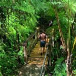 Full-Day Tour: El Yunque, Luquillo Beach, Bio Bay Night Kayaking - What Travelers are Saying