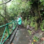Full day tour from Mataram or Senggi to senaru waterfalls - What Travelers Say About This Tour