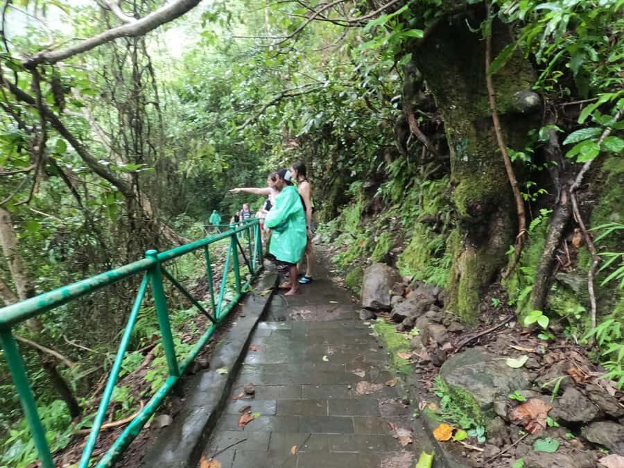 Full day tour from Mataram or Senggi to senaru waterfalls - What Travelers Say About This Tour