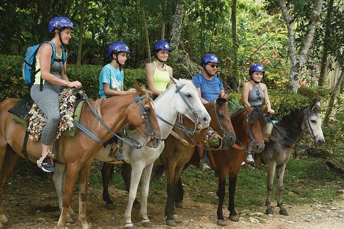 Full Day Tour in Samana and visit to Cascada el Limón - What Truly Makes This Tour Stand Out?